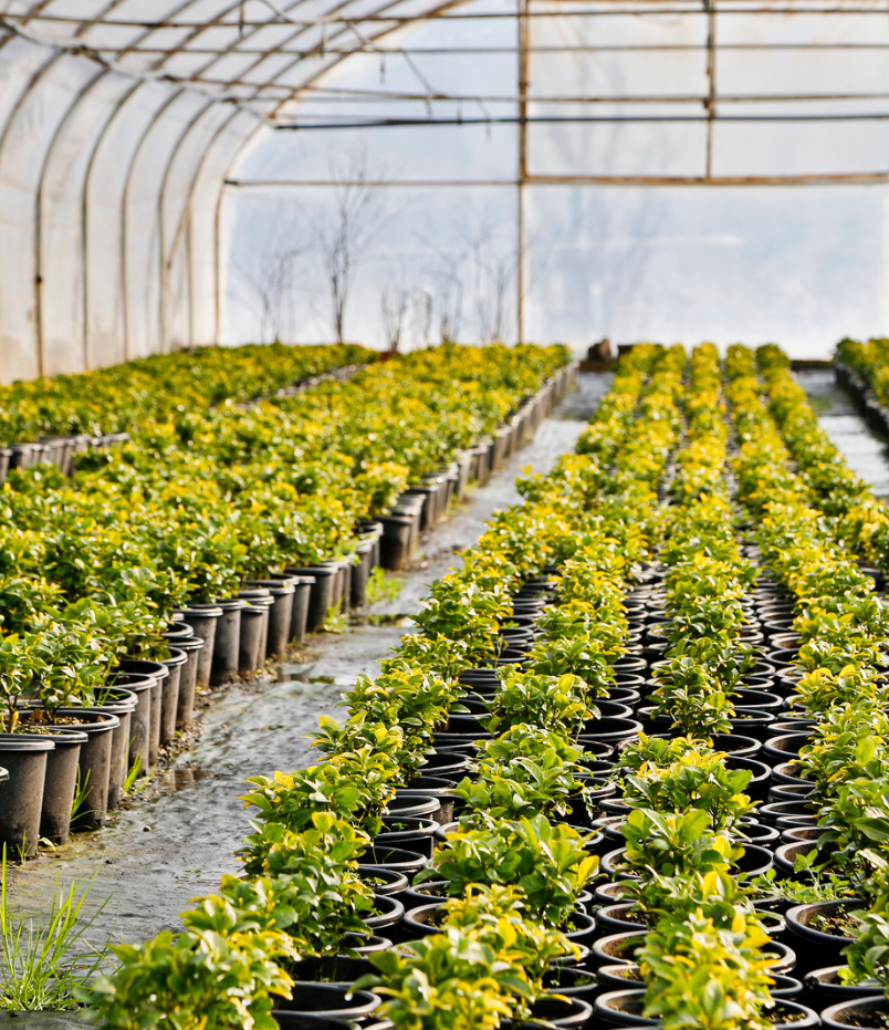 Our Projects - Helios